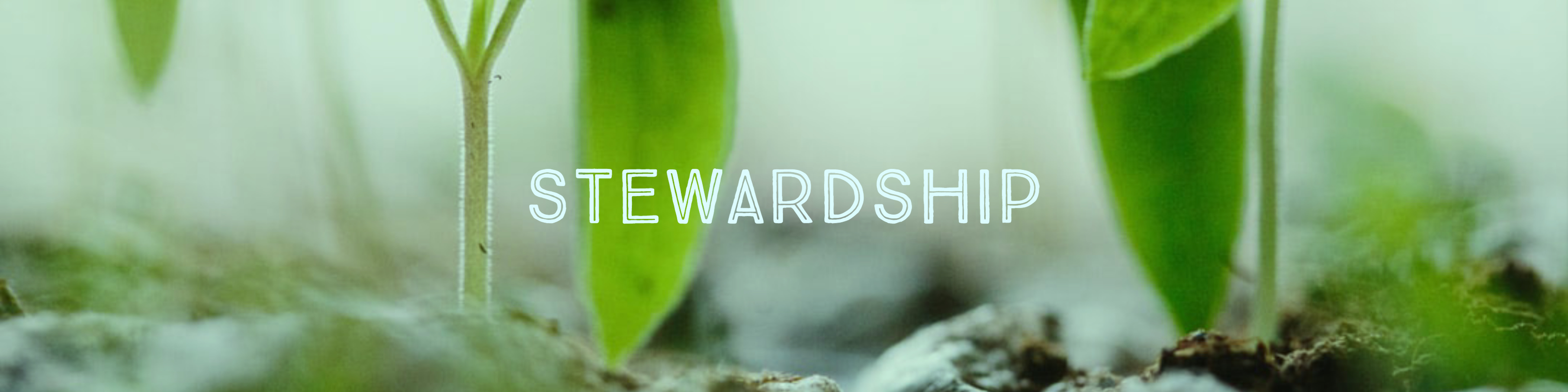 Grace News February 9, 2021